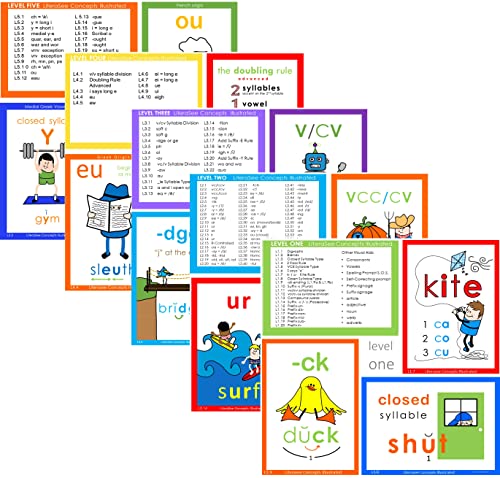 LiteraSee Concepts Illustrated, Five Orton-Gillingham based levels