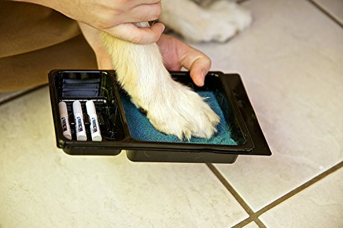 PawFriction - Paw Pad Traction - Increase Your Dog's Quality Of Life (Packaging may vary)