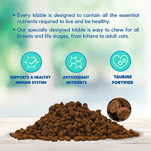 Lucy Pet Cat Salmon, Pumpkin, & Quinoa 10lb