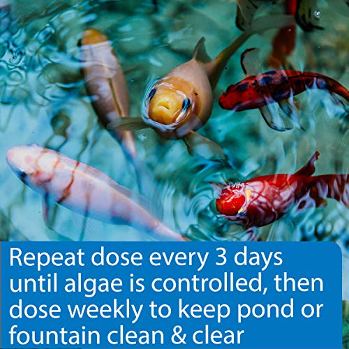 API POND ALGAEFIX Algae Control 8-Ounce Bottle