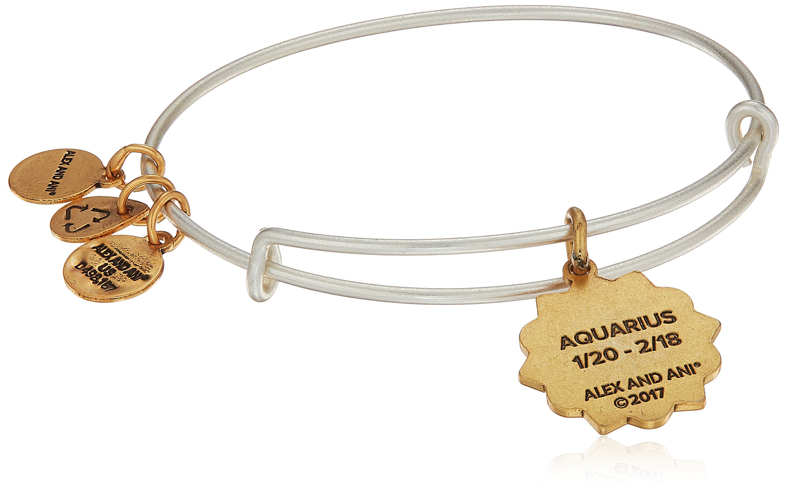 Alex and Ani Women's Aquarius Two Tone Bangle Bracelet