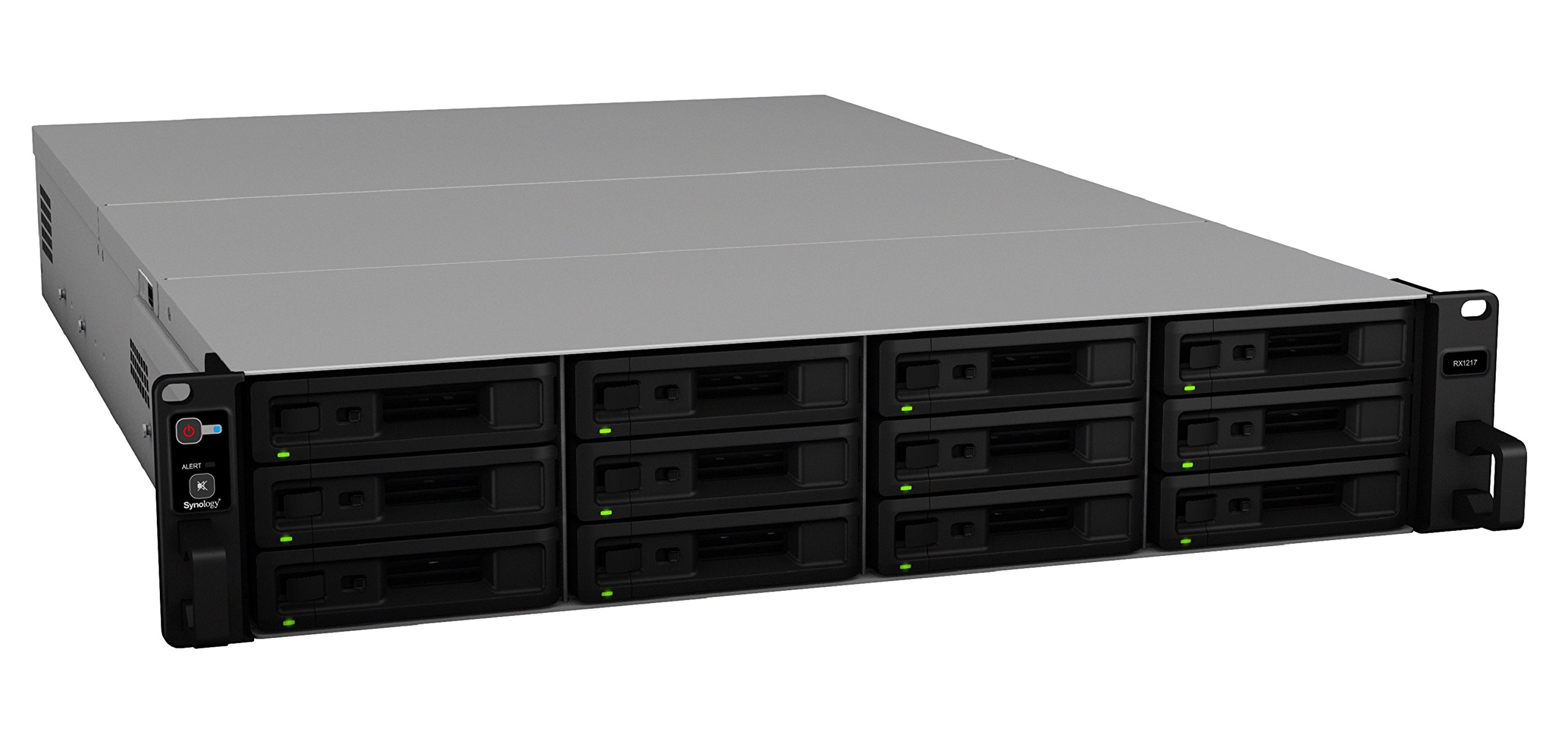 Synology Expansion Unit RX1217 12-bay, 2 U, RX1217 (12-bay, 2 U 50Hz to 60Hz, single phase)