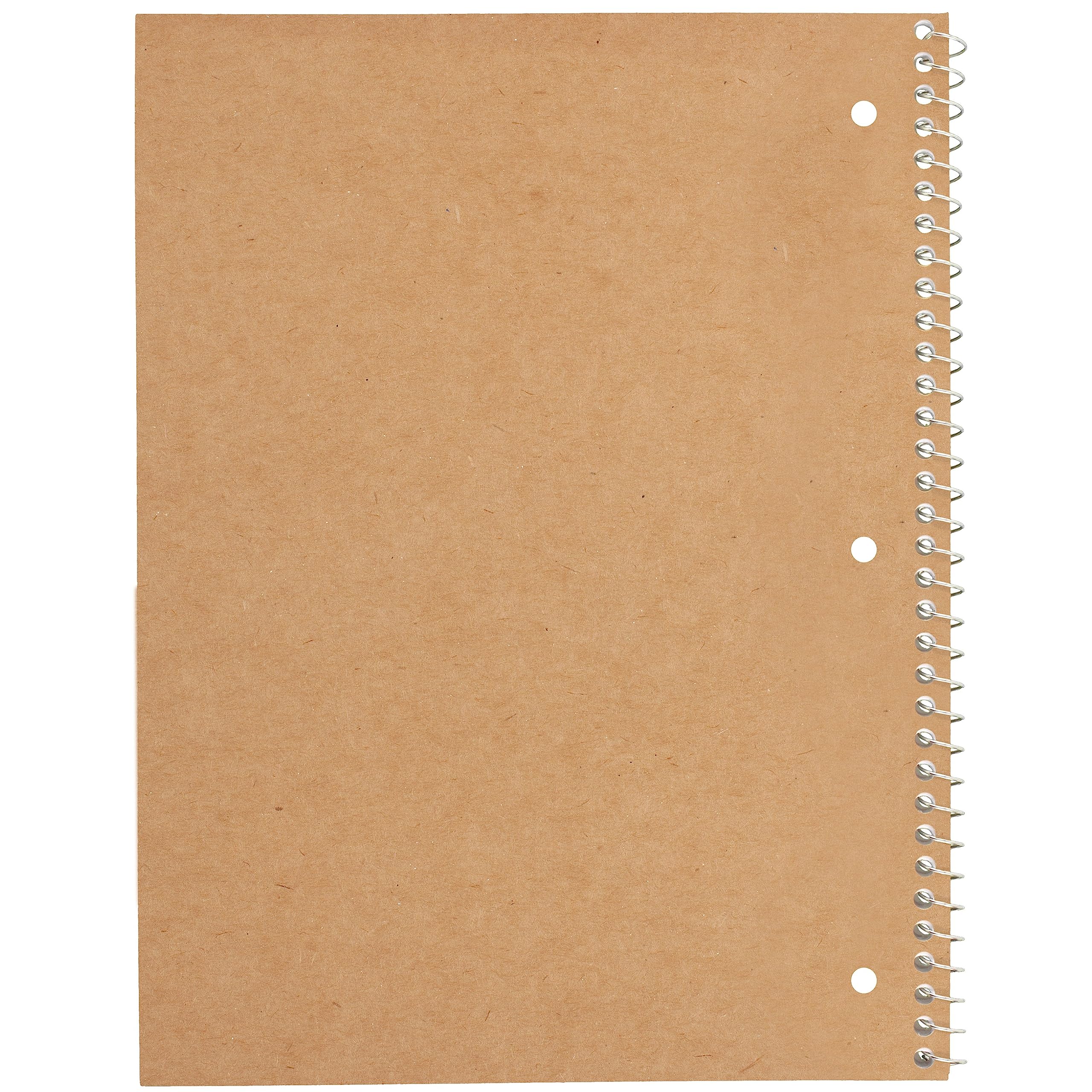 Mead Spiral Notebooks, 6 Pack, 1-Subject, Wide Ruled Paper, 8" x 10-1/2", 70 Sheets, Assorted Pastel Colors (930050-ECM)
