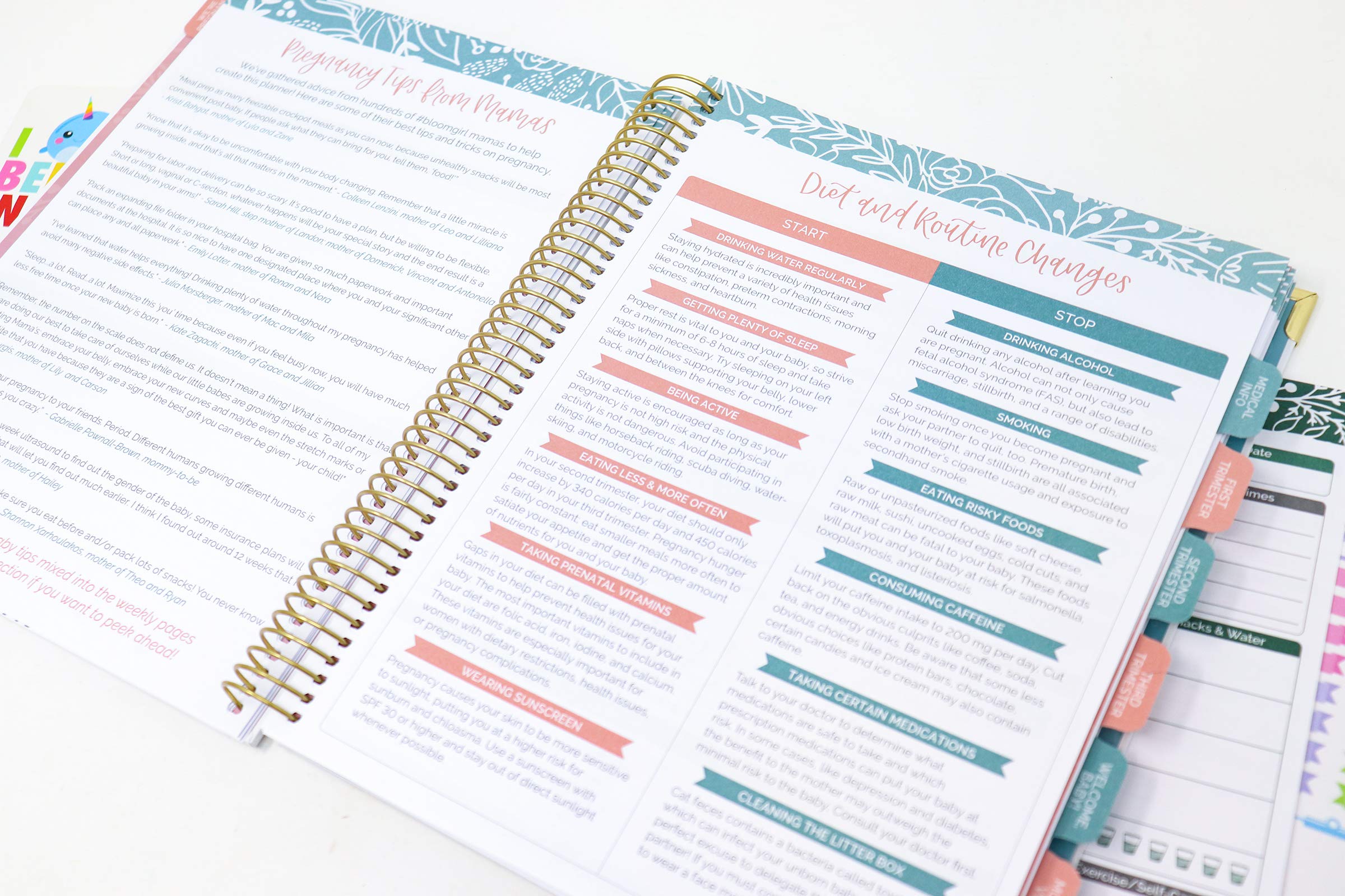 bloom daily planners New Pregnancy and Baby's First Year Calendar Planner & Keepsake Journal with Stickers - Hardcover Scrapbook Memory Book Organizer - Undated - 8β x 10" - Green & Pink