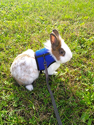 Pettom Bunny Rabbit Harness with Stretchy Leash Cute Adjustable Buckle Breathable Mesh Vest Harness and Leash Set for Kitten Small Pets Holland Lop Bunnies Walking (S(Chest:10.8-12.9 in), Pink)