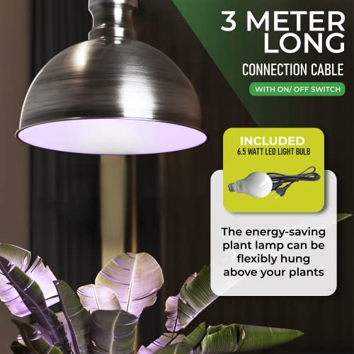 Bio Green 500-USZ Florabooster LUM 500 Grow Indoor 60w Lightbulb Lamp with 3m Connection Cable β Energy Saving House Plants β High Light Intensity, Brushed zinc