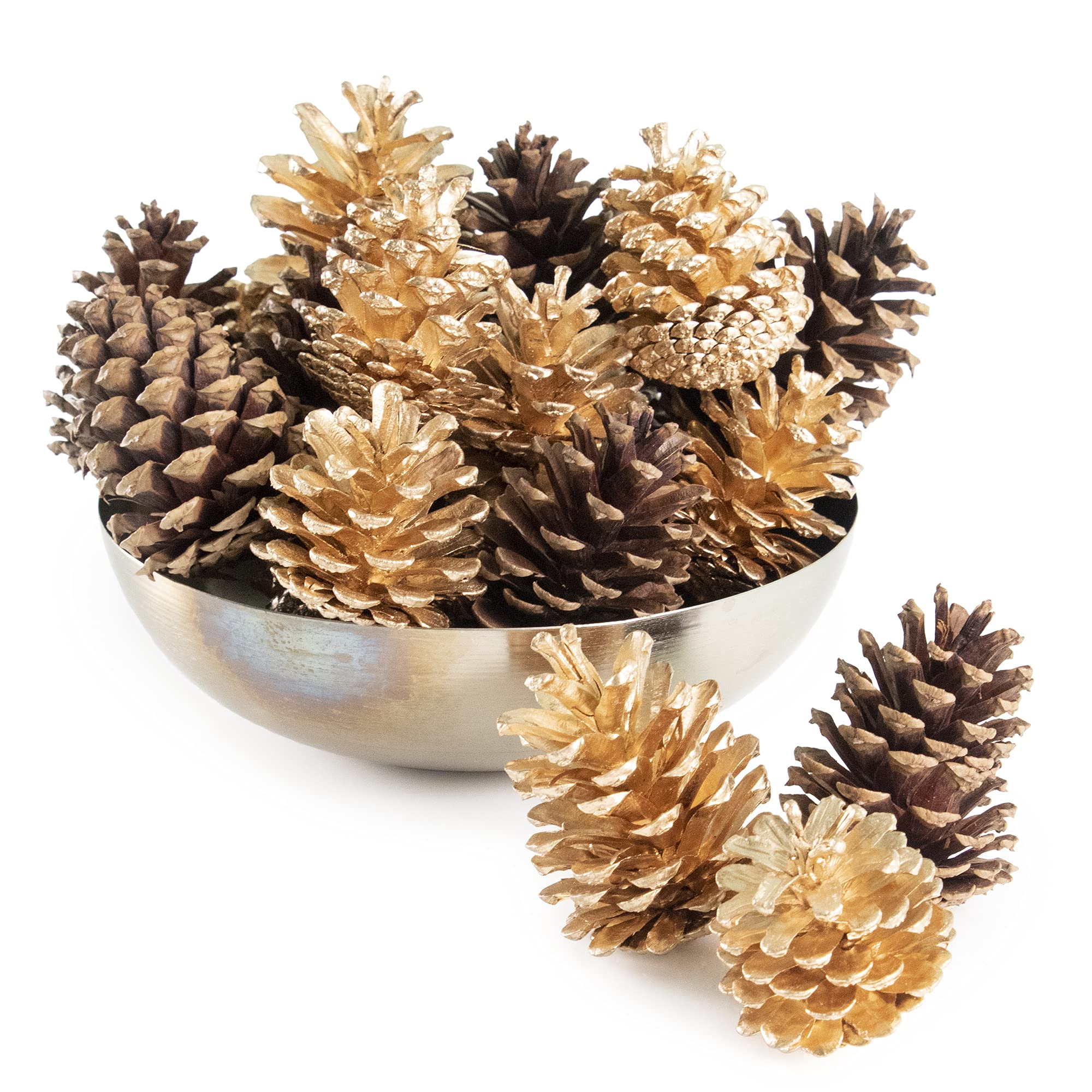 ANDALUCA Mixed Natural & Gold Decorative Pinecone Vase & Bowl Fillers | Pinecones for Decorating & Home Decor (Gold)