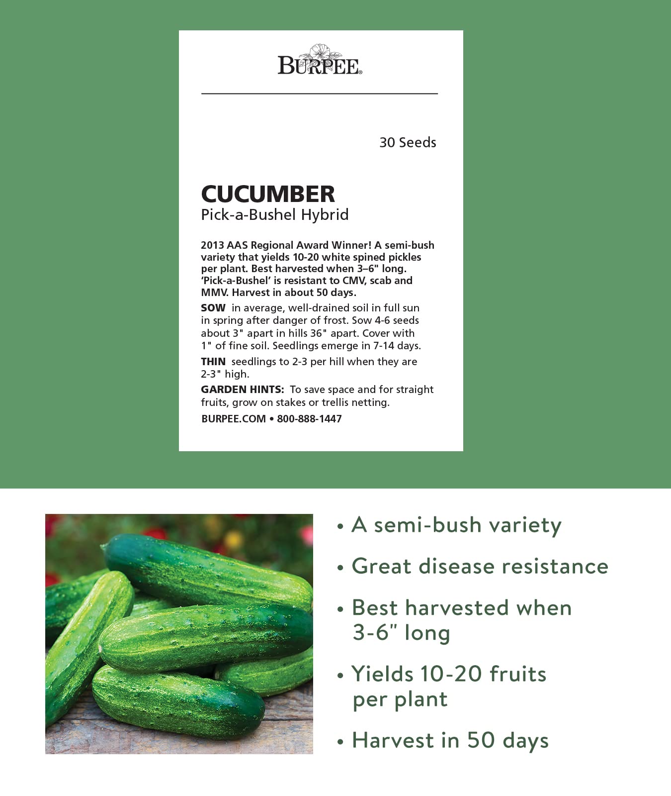 Burpee 'Pick-A-Bushel' Pickling Cucumber Seeds, 30 Non-GMO seeds