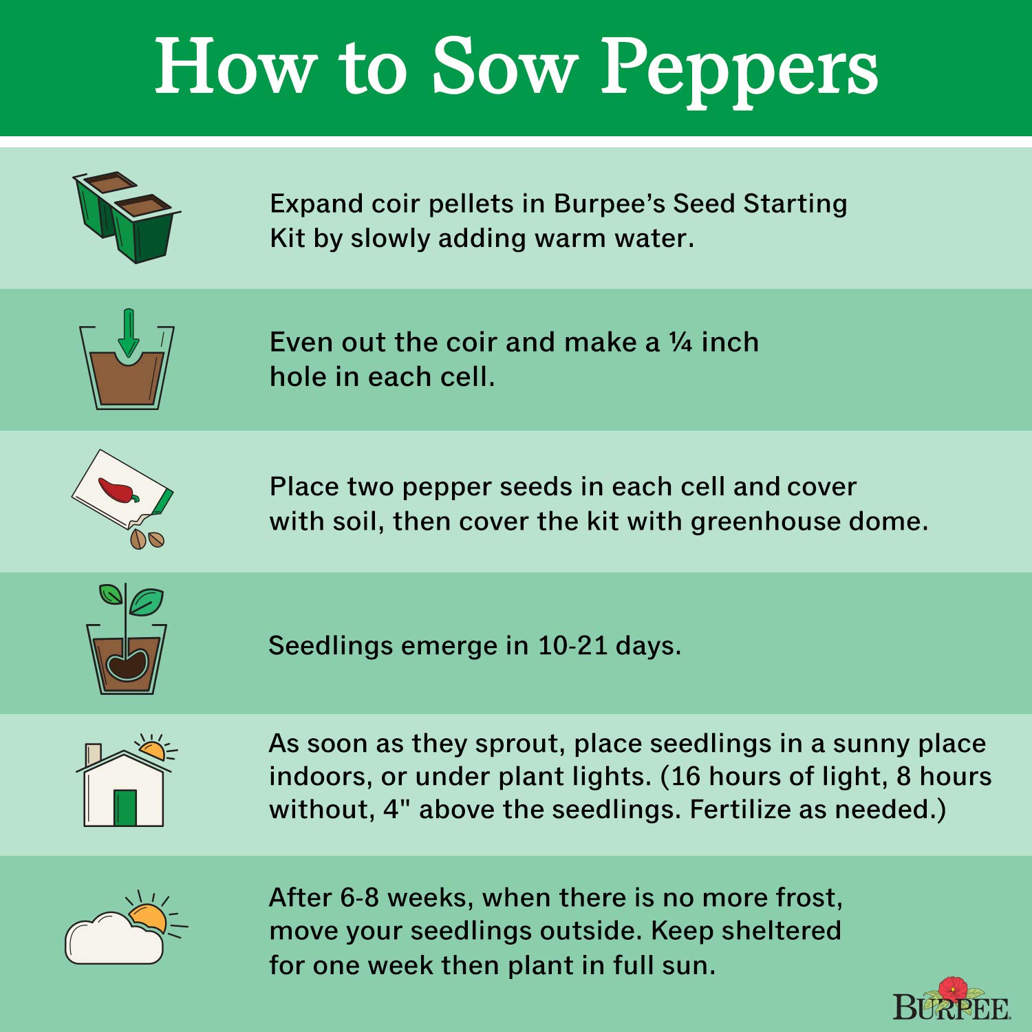 Burpee Cherry Stuffer Sweet Pepper Seeds 25 seeds