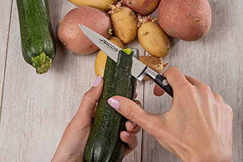 ARCOS Paring Knife 4 Inch Stainless Steel. Kitchen Knife for Peeling Fruits and Vegetables. Ergonomic Polyoxymethylene Handle and 100mm Blade. Series Riviera. Color Black