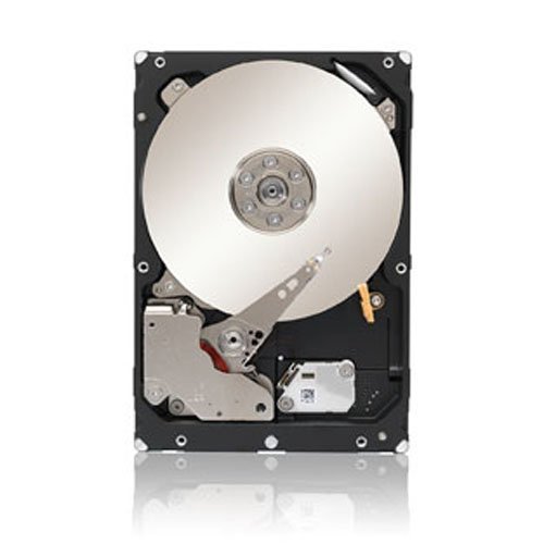 Seagate 3TB Enterprise Capacity HDD SATA 6Gb/s 128MB Cache 3.5-Inch Internal Bare Drive (ST3000NM0033) (Renewed)