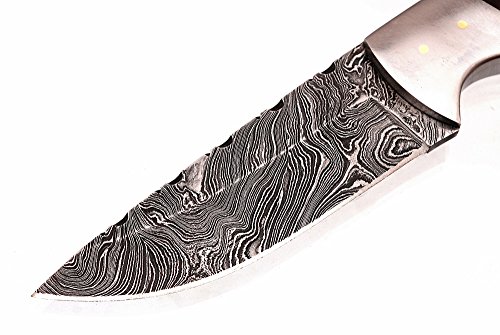 AishaTech Fortune Custom Hand Made Hunting Knife Damascus Steel Blade Wood Bone Handle