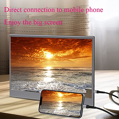 Airr 15.6-inch Portable Display, 1080P HD Computer Monitor, IPS Extension Display with USB Type C/Mini HD, Built-in Speaker