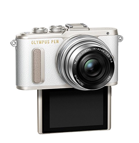 OLYMPUS Pen E-PL 8 EZ Double Zoom Kit [White][International Version, No Warranty]