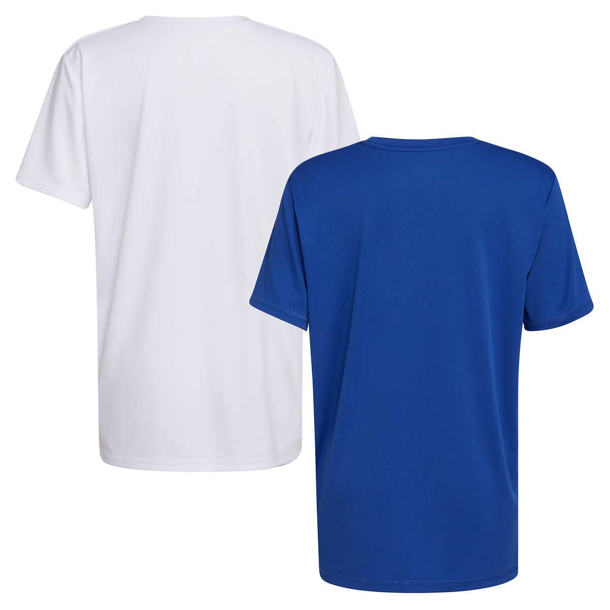 adidas Youth Boy's 2 Pack Short Sleeve Logo T-Shirts (Large(14/16), White/Blue)