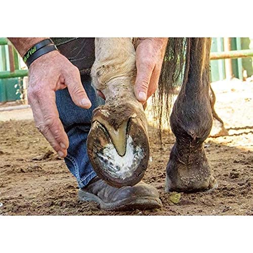 Aslion Hoof Trimming Disc for Horses Goats, Professional Electric Hoof Repair Tool High Working Efficiency and Durable - 6 Tooth Design