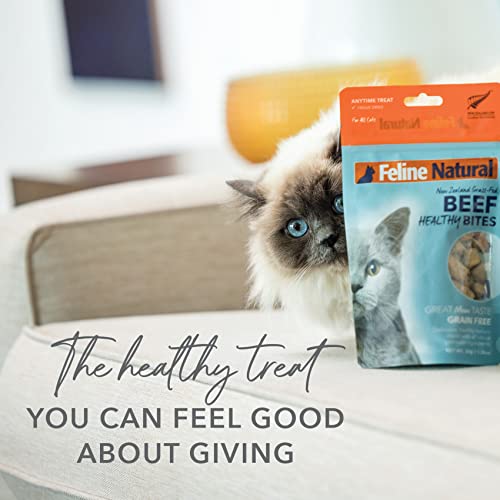 Feline Natural Grain-Free Freeze Dried Cat Treats, Lamb 1.76oz