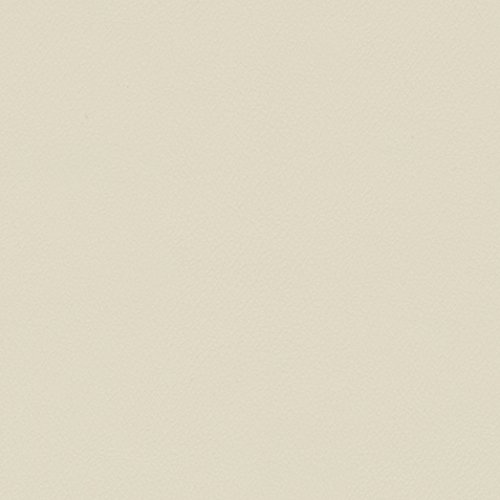 Naugahyde Spirit Millennium Vinyl 394 Adobe White Fabric By The Yard