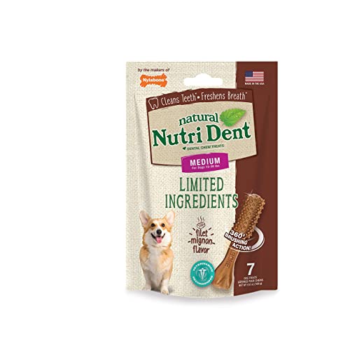 Nylabone Nutri Dent Filet Mignon Flavored Dog Dental Chews 7 Medium 3.75" Treats for Dogs 15-30 lbs.