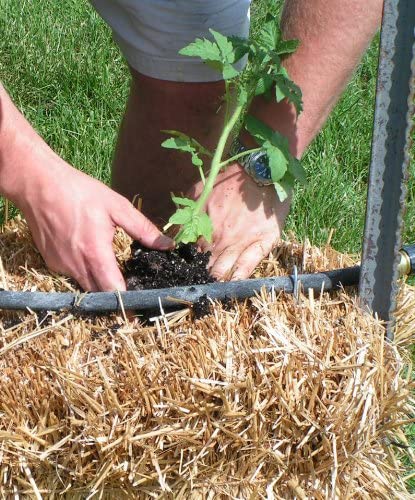 BaleBuster20 with Straw Bale Gardening Booklet!