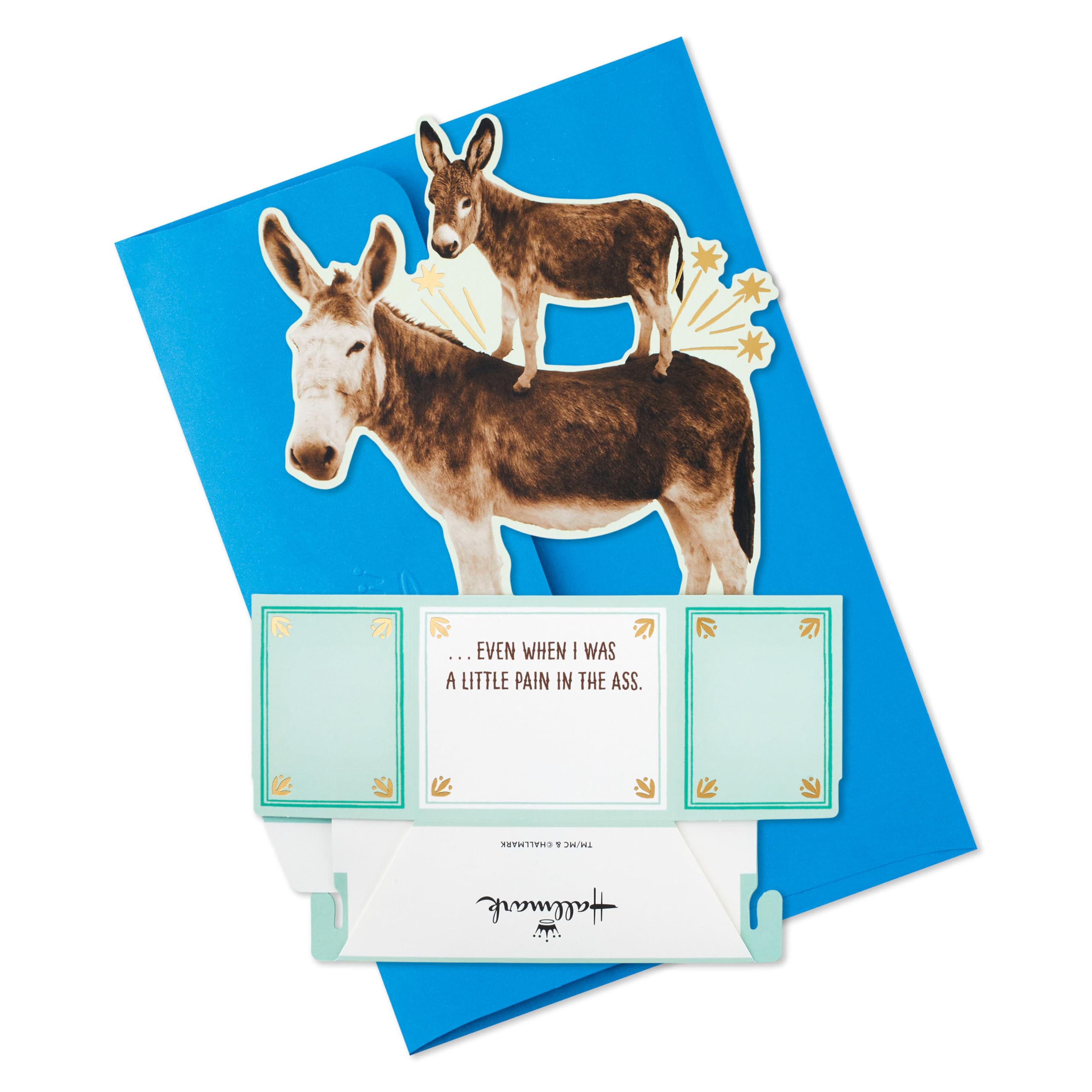 Hallmark Funny Pop Up Birthday Card from Son or Daughter (Donkeys, Pain in the...) Paper Wonder Shoebox 3D Card