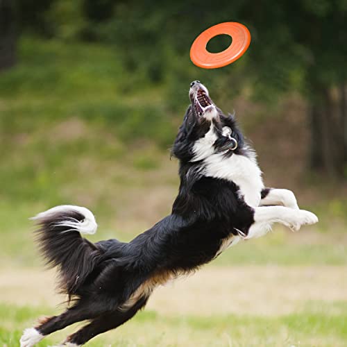 Nerf Dog 10in Atomic Flyer - Orange