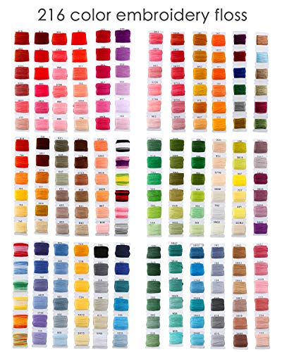 Caydo 313 PCS Box Embroidery Kit with Organizer, 216 Color Threads, 4 Aida Cloth, 6 Embroidery Hoops, Cross Stitch Tools and Instructions for Adults Beginners Christmas Gift