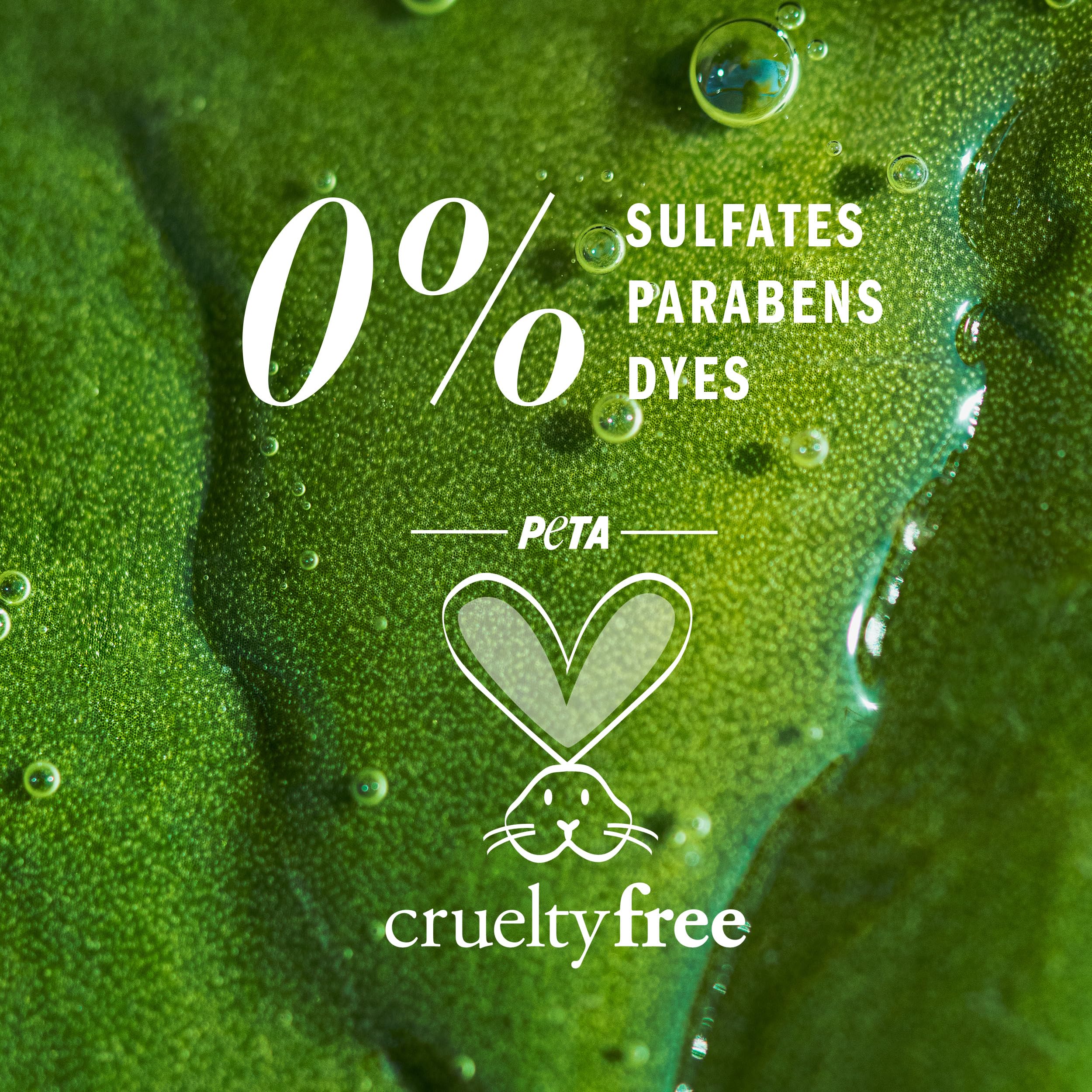 Herbal Essences Bio: Renew Potent Aloe + Eucalyptus Conditioner Scalp Balance, 13.5 Fl Oz, 5.523 Fl Oz