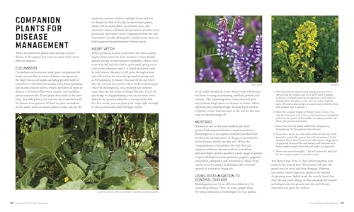 Companion Planting for Beginners: Pair Your Plants for a Bountiful, Chemical-Free Vegetable Garden