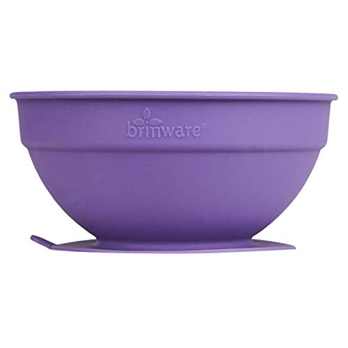 brinware 2 Piece Glass and Silicone Suction Bowls, Pink Purple