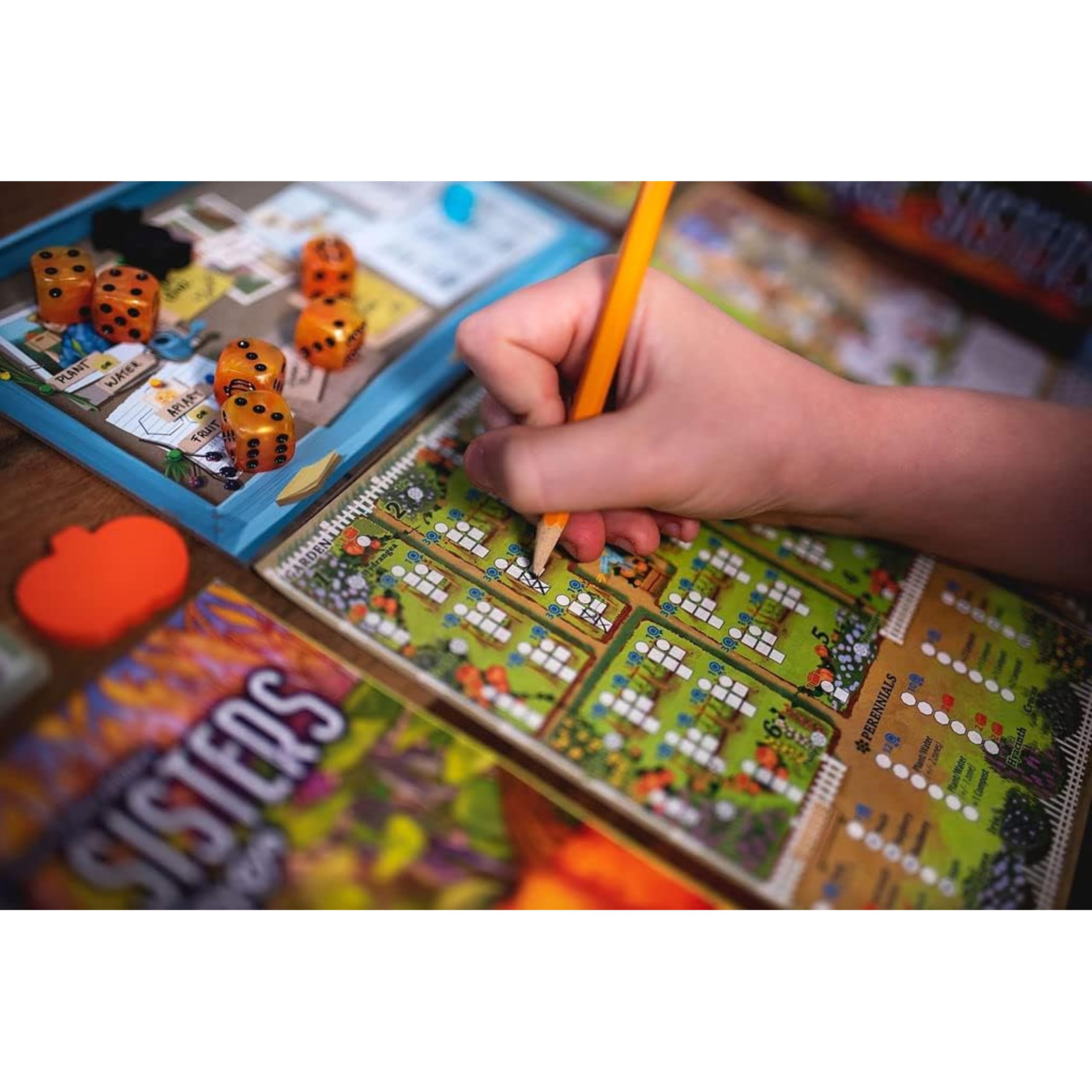 Three Sisters , A Strategic Roll and Write Board Game About Gardening - 25th Century Games