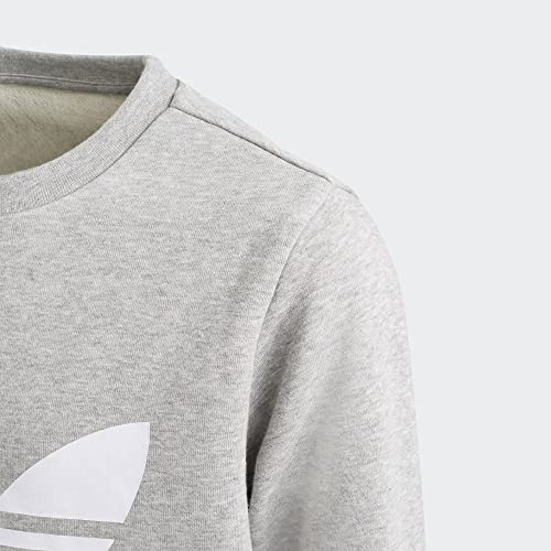 adidas Originals unisex-youth Trefoil Crew Sweatshirt Medium Grey Heather Large