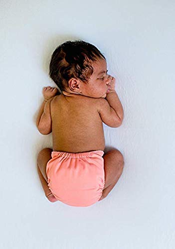 GroVia Newborn All in One Snap Reusable Cloth Diaper (AIO) (Petal)