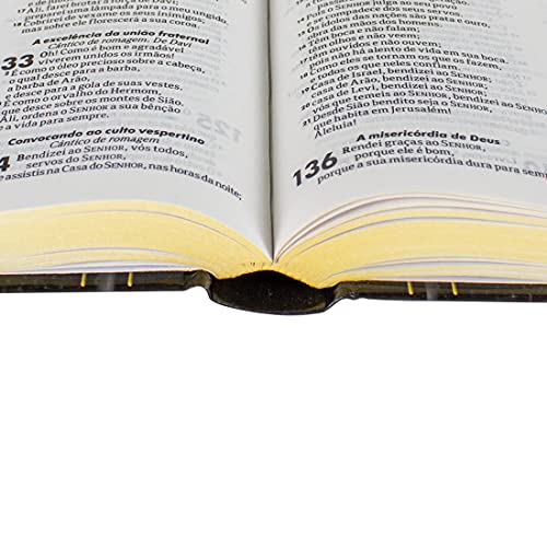 Bíblia Sagrada Almeida Revista e Atualizada: Almeida Revista e Atualizada (ARA)