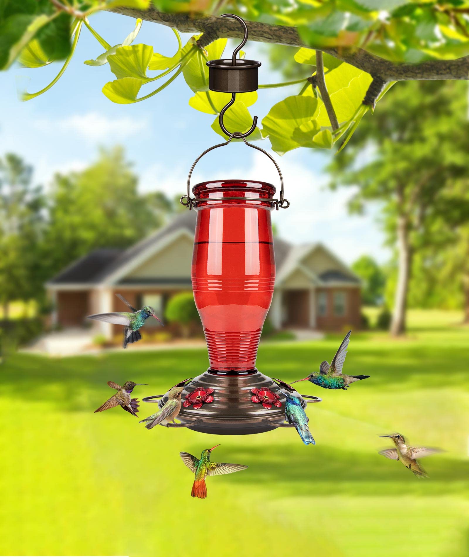 BOLITE 18006CR Hummingbird Feeder, Vintage Bottle Glass Hummingbird Feeders for Outdoors, 25 Ounces, Red