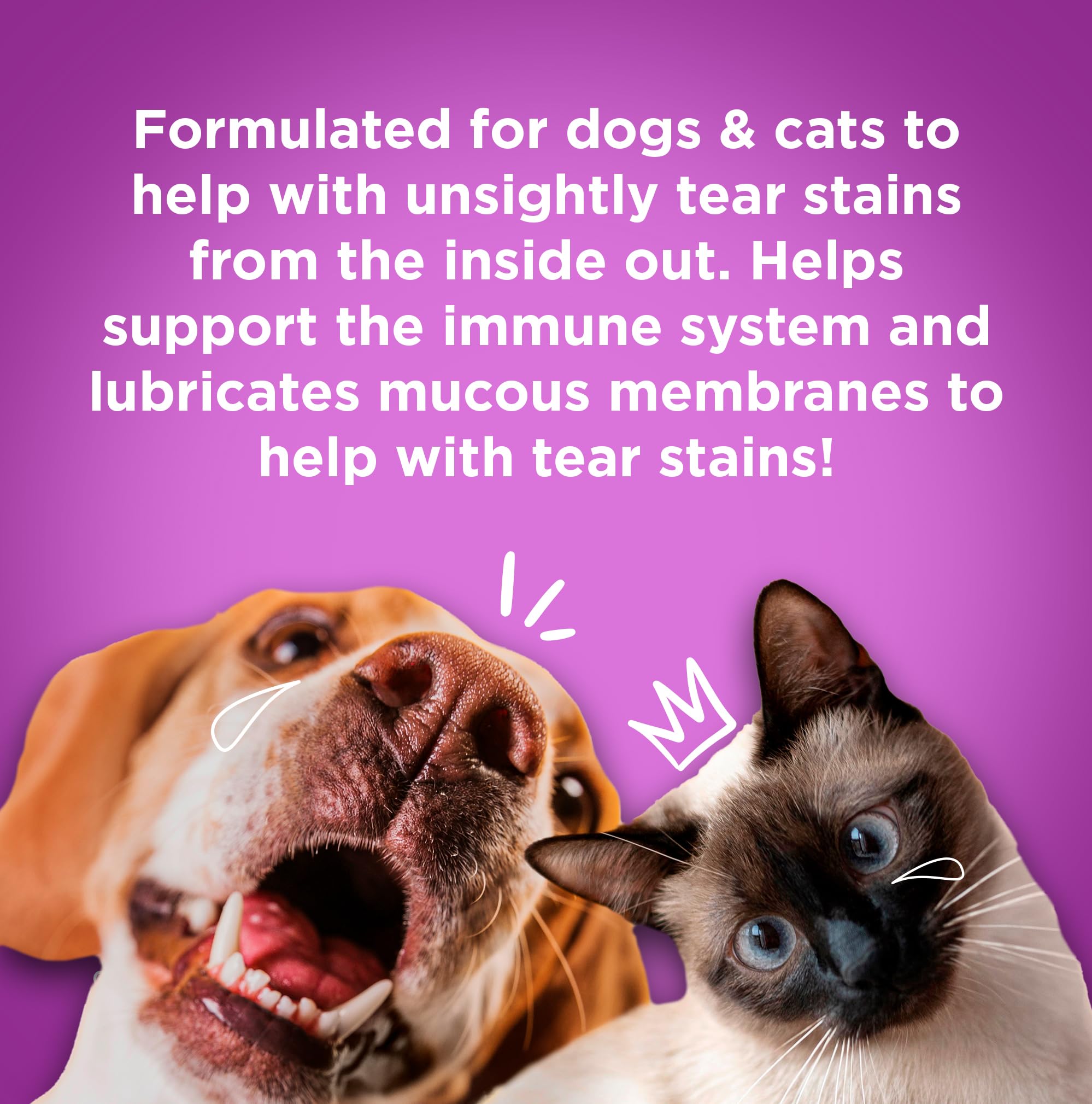 First Impressions Tearminator Soft Chews β Natural Dog Tear Stain Remover for Dogs, Eye Supplements for Dogs and Cats - Yummy Vision Bites for Dogs - 60 ct