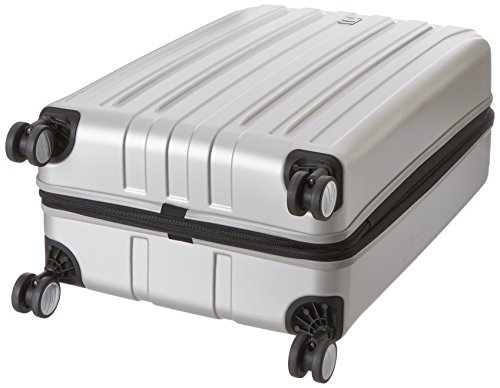 DELSEY Paris Titanium Hardside Expandable Luggage with Spinner Wheels, Silver, Checked-Large 29 Inch,207183011