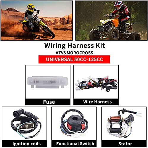 Complete Electrics Wiring Harness Stator Coil CDI Solenoid Relay Spark Plug for 4 Wheelers Stroke ATV (50cc 70cc 110cc 125cc) Pit Quad Dirt Bike taotao Go Kart by OTOHANS AUTOMOTIVE