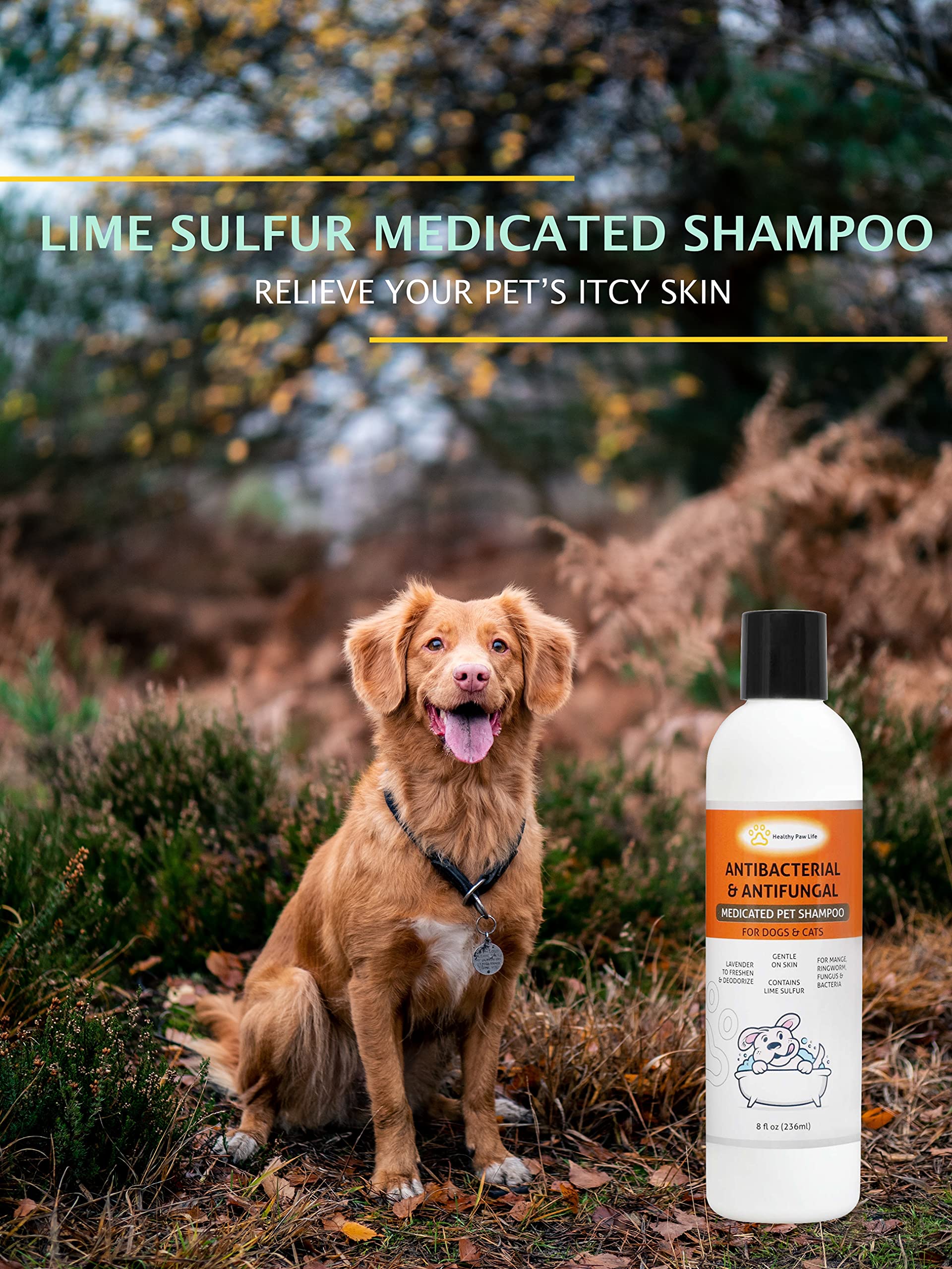 Healthy Paw Life Classic's Lime Sulfur Pet Shampoo - Pet Care and Veterinary Solution for Itchy and Dry Skin - Safe for Dog, Cat, Puppy, Kitten, Horse