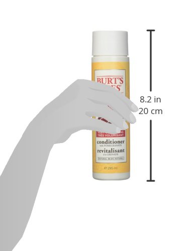 BURTS BEES Pomegranate Conditioner, 295 ML