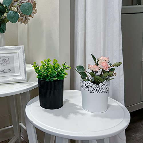 Denture Bath, Invisible Denture Case Designed As Artificial Eucalyptus Potted Plants, Denture Cup With Strainer For Retainer, Mouth Guard & Dentures, Perfect For Home Decorationā¦