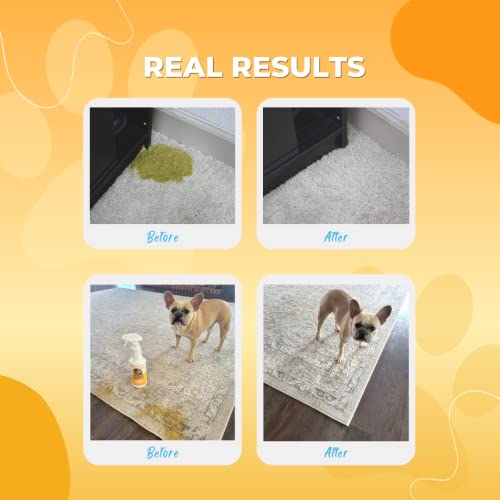 FurryFreshness Extra Strength Cat or Dog Pee Stain & Permanent Odor Remover + Smell Eliminator -Removes Stains from Pets & Kids Including Urine or Blood- Lifts Old Carpet Stains- 32oz Spray