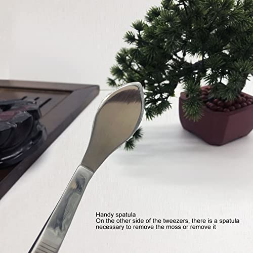Bonsai Tweezers, Rustproof Bonsai Spatula Tweezers Soil Loosening Tool Straight Tip Easy Maintenance for Courtyard