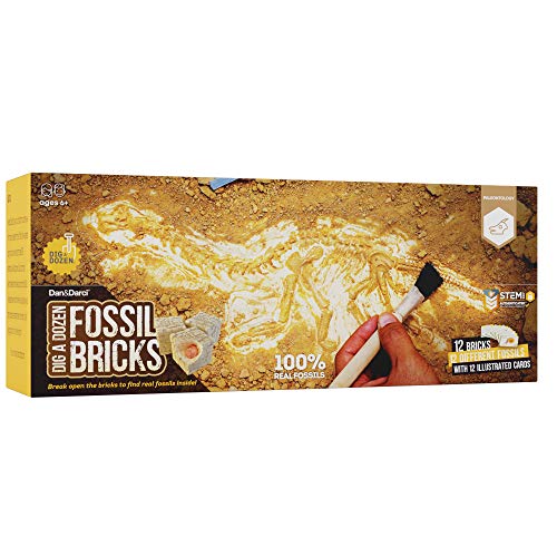Dig a Dozen Fossil Bricks - Break Open 12 Bricks and Discover 12 Unique Real Fossils - Archaeology Science STEM Gift