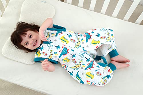 G' abigale Fairy 100% Cotton Cute Dinosaur Baby Sleeping Sack Bag Pajama Set (L, Blue)