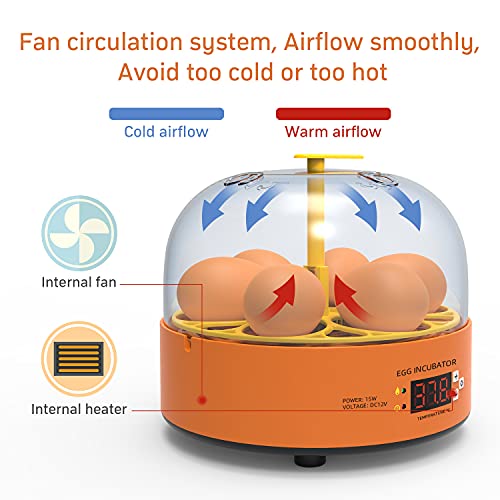 ayakol Small 6 Egg Incubator with External Lever Egg Turner,Temperature Control, Humidity Control, Led Candler, Hatcher for Chicken Duck Pigeon Quail Parrot,360 Degree View…