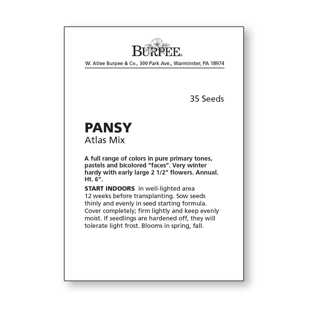 Burpee Atlas Mix Pansy Seeds 35 seeds