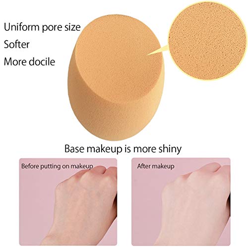 APCHYWELL Makeup Sponge Set with Holder, Latex Free Beauty Blender large size,Blending Sponge with Multi Color