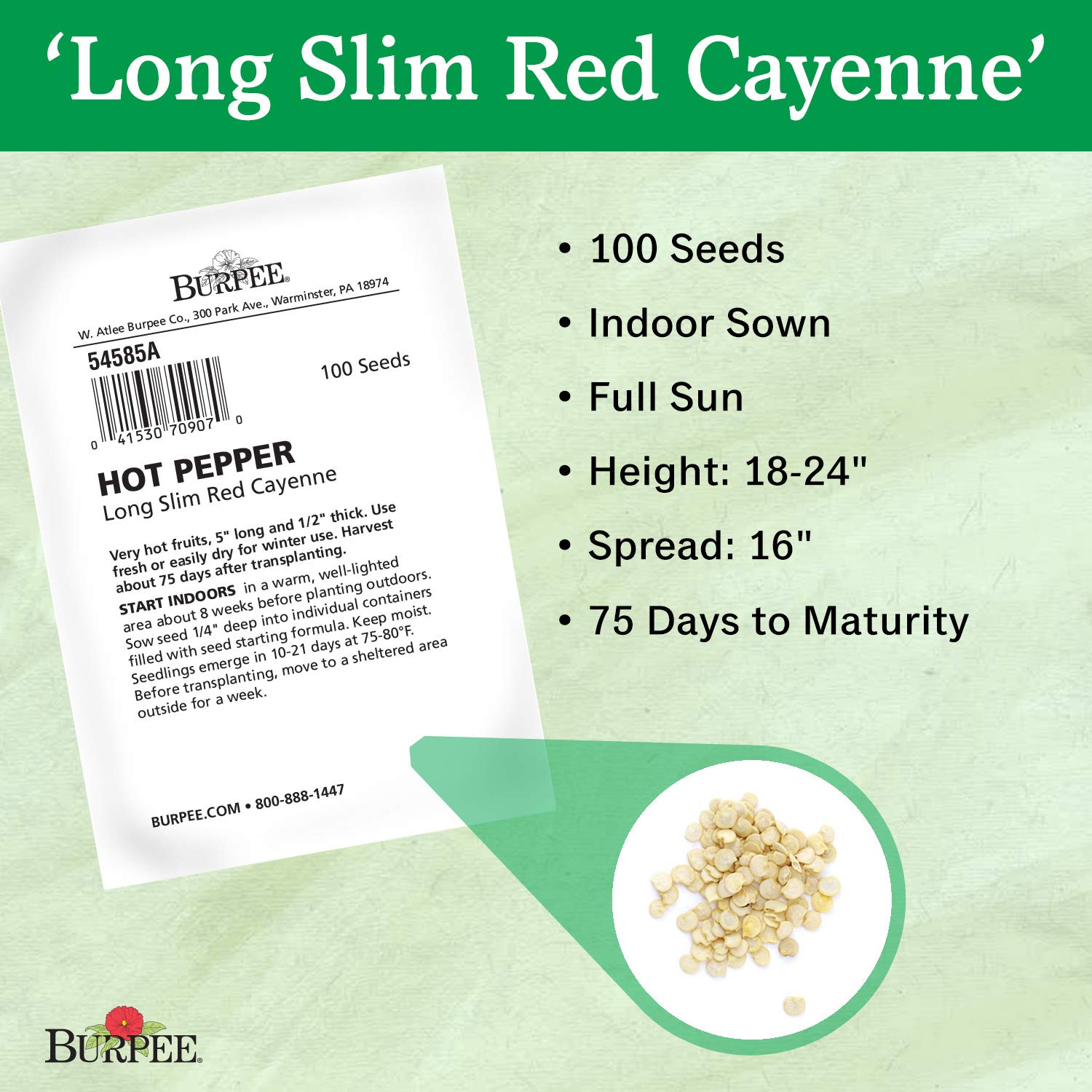 Burpee Long Red Slim Cayenne Hot Pepper Seeds 100 seeds