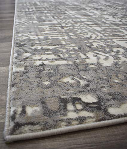 CosmoLiving Celeste Collection Area Rug, 8' x 10', Royal Silk